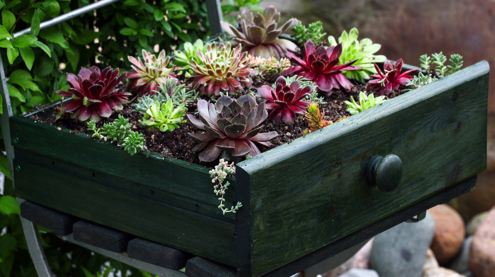 Repurpose These Household Staples For Fun And Easy Garden Decor