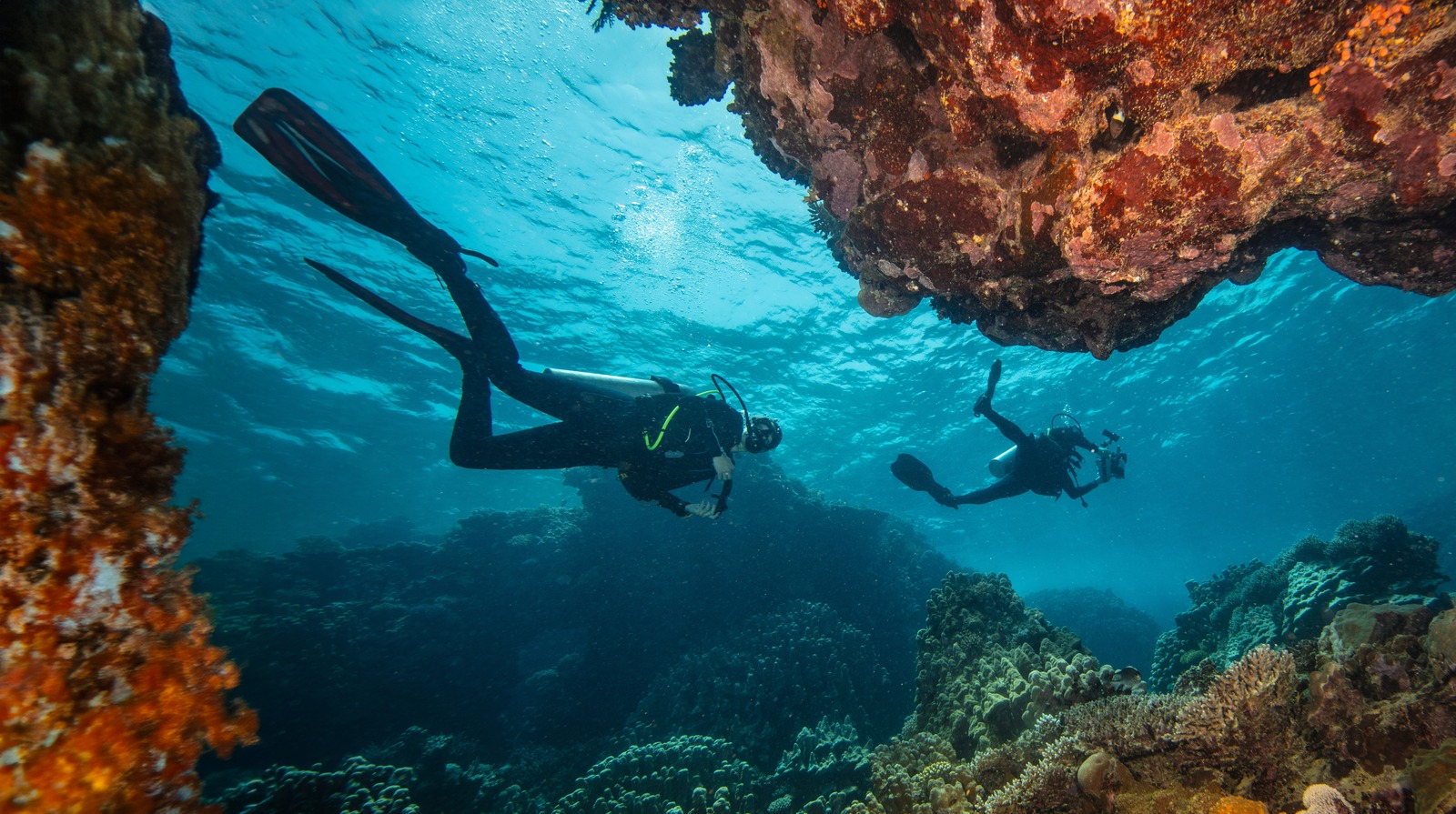 Safety Tips To Know Before Your Scuba Diving Adventure