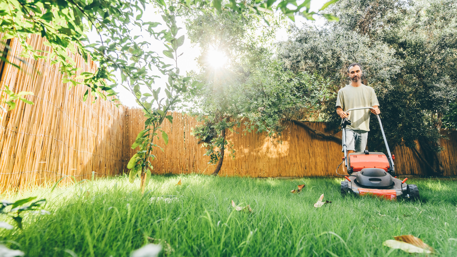 Signs It May Be Time To Stop Mowing Your Lawn