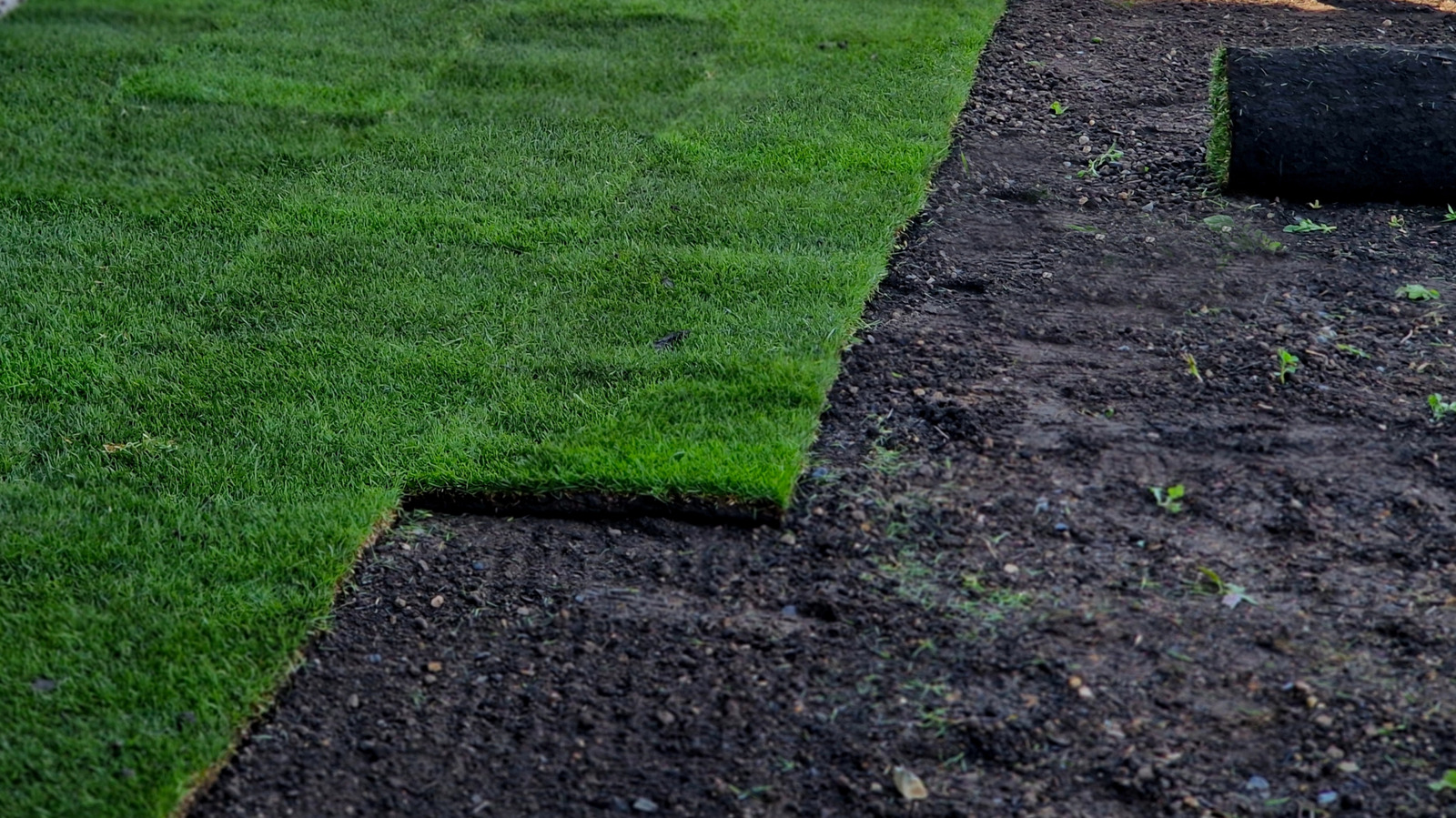 Sod Removal Doesn't Have To Be Backbreaking Work If You Incorporate ...