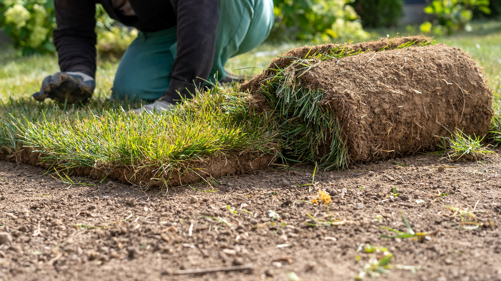 Soil Prep Tips To Know Before Installing New Sod