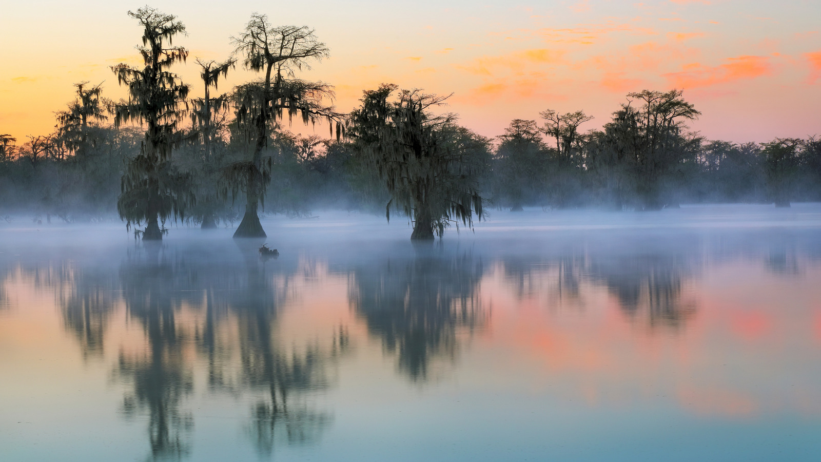 Spot Endless Amounts Of Birds And Wildlife At This Must-Visit Louisiana ...