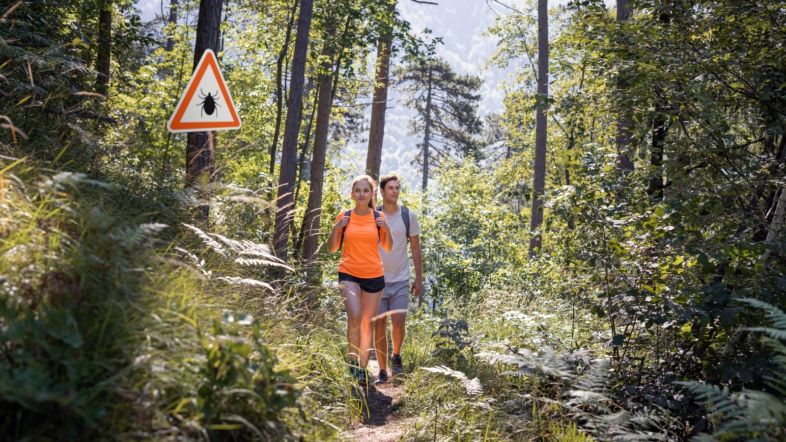 Spraying This Chemical On Your Clothing Can Help Keep Ticks Away