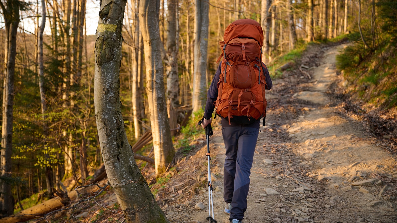 The Best Backpacking And Thru-Hiking Trails In The Midwest