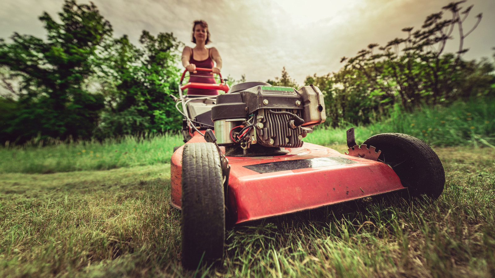 The Best Method For Balancing Lawn Mower Blades After Sharpening