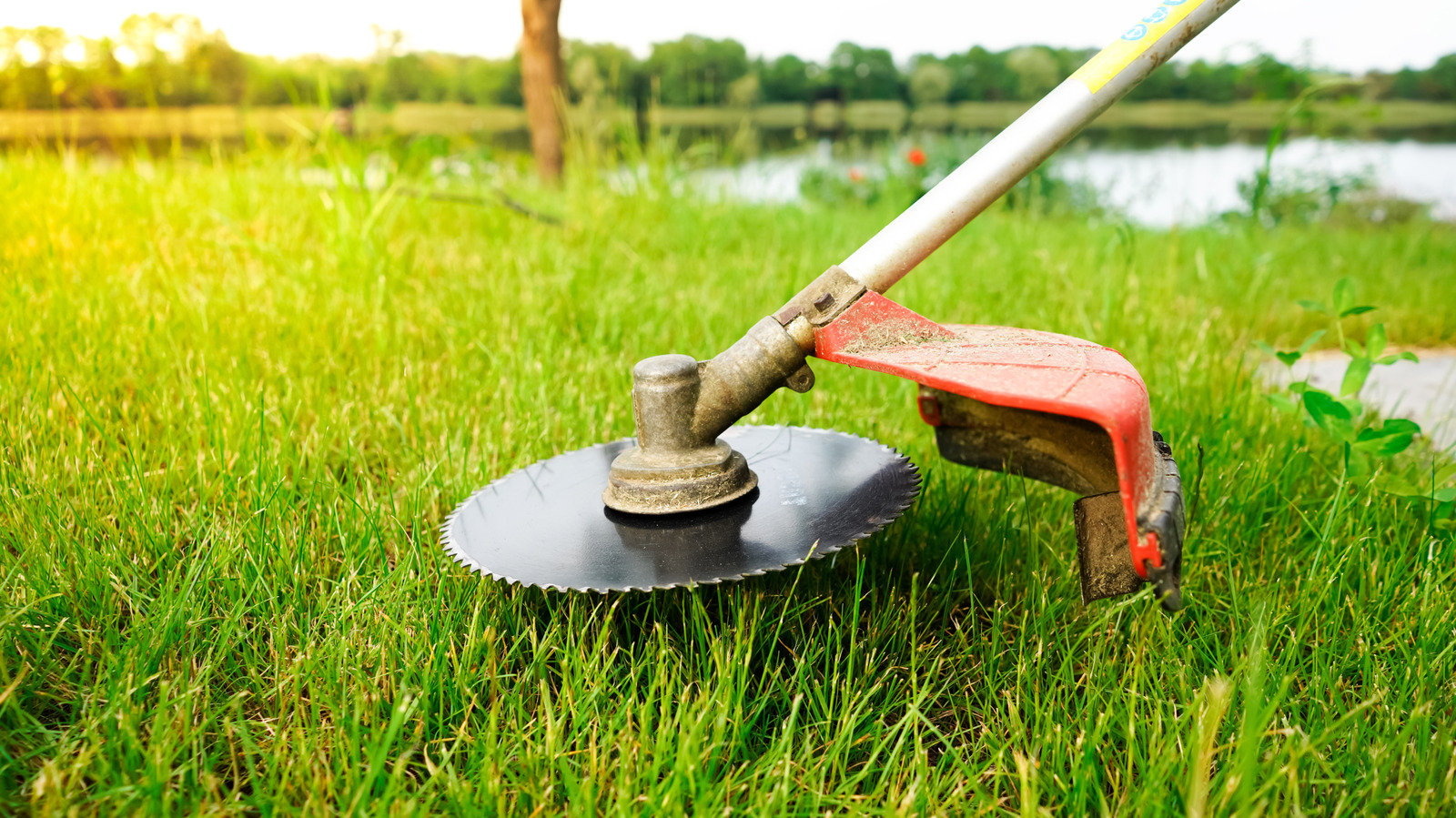 The Best Method For Sharpening A Brush Cutter Blade