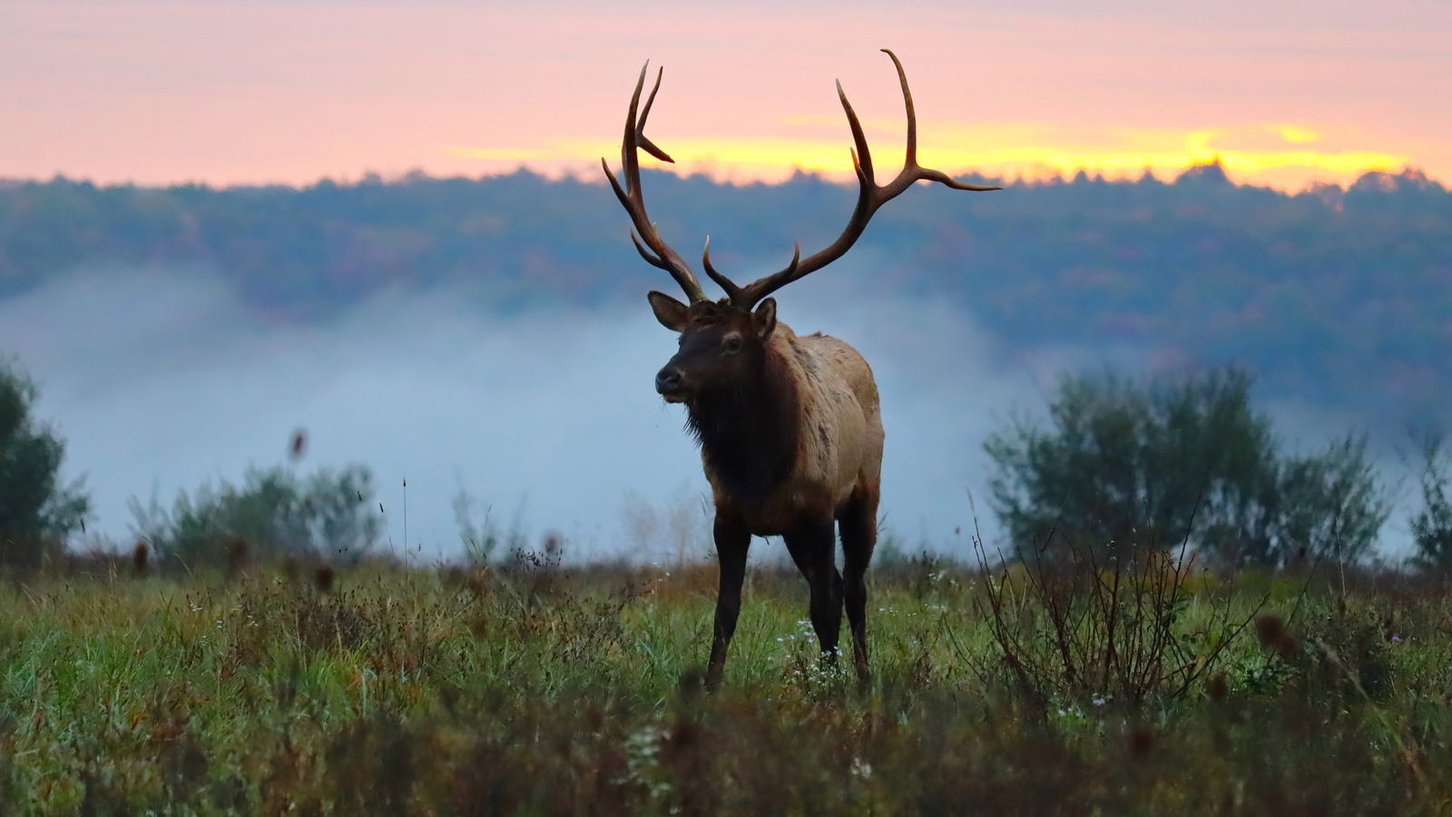The Best Parks To Visit In Pennsylvania If You Love Watching Wildlife