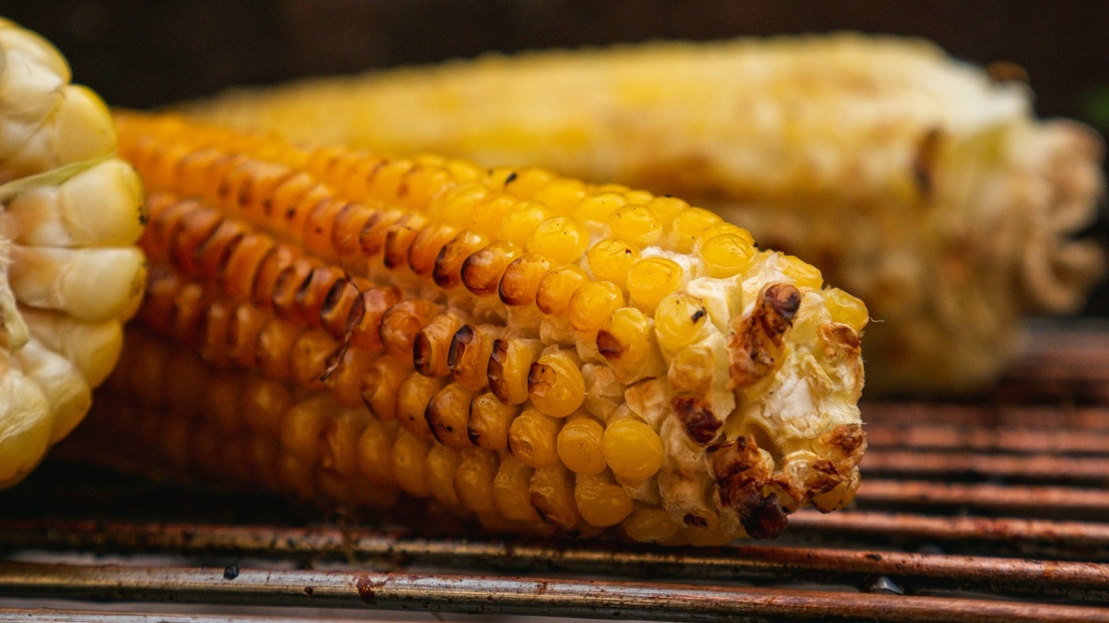 The Best Way To Cook Corn On The Cob While Camping Is Also The Most Simple
