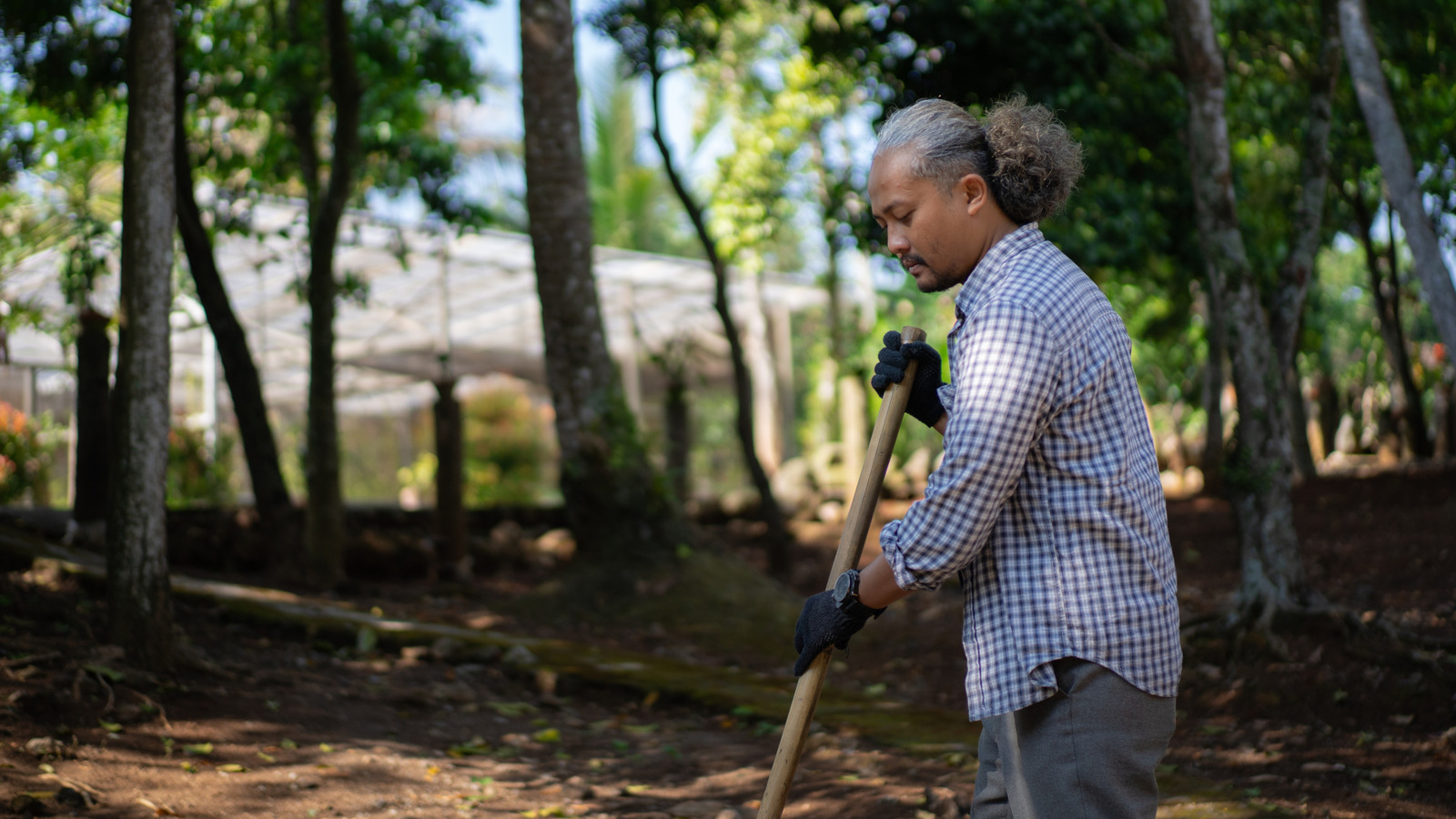 The Clever Broom Trick That'll Help You Successfully Grow Grass From Seed