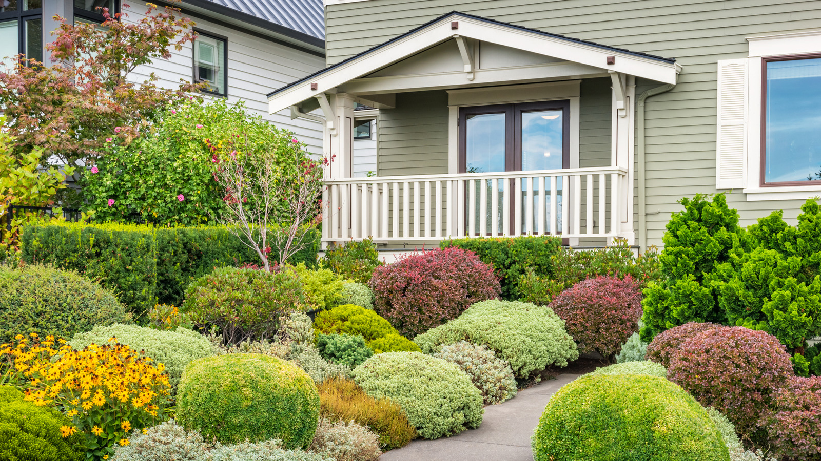 The Low-Maintenance Bush That's The Perfect Addition To Your Front Yard