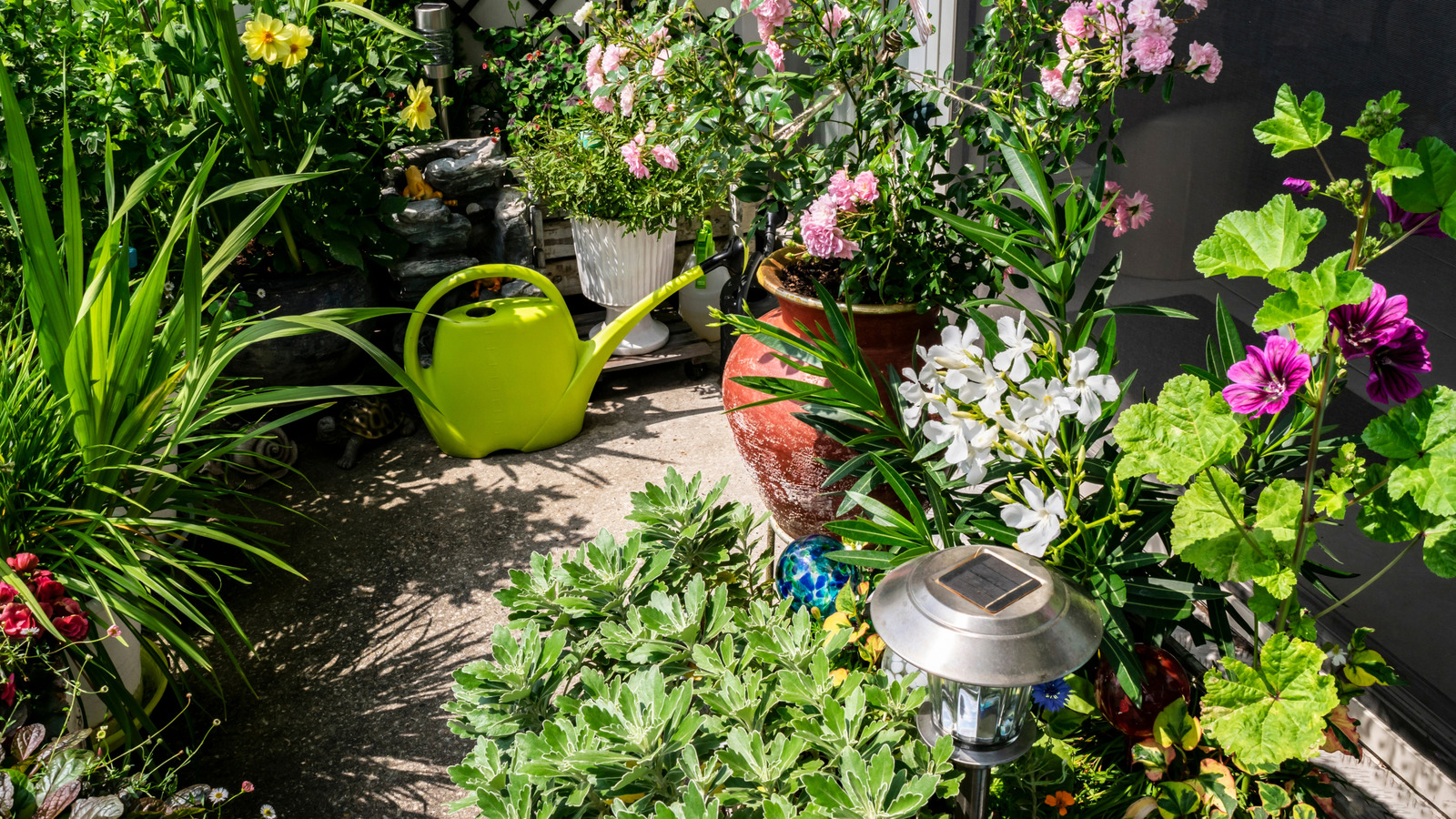 The Low-Maintenance Flower And Plant Combo You'll Want In Your ...