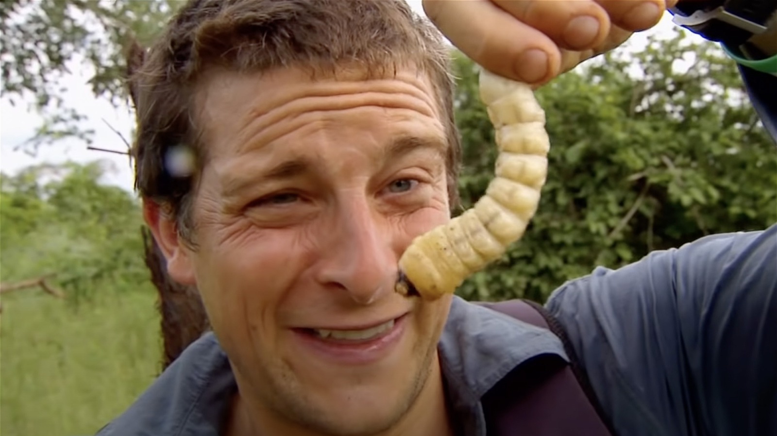 The Nastiest Things Bear Grylls Has Ever Eaten In The Wild