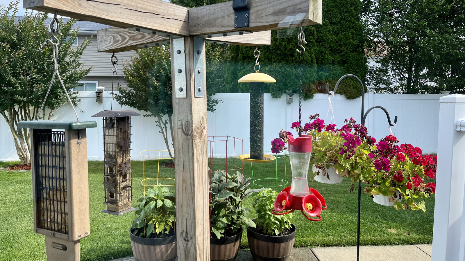 The Simple Feeder Upgrade That'll Attract More Ground-Feeding Birds