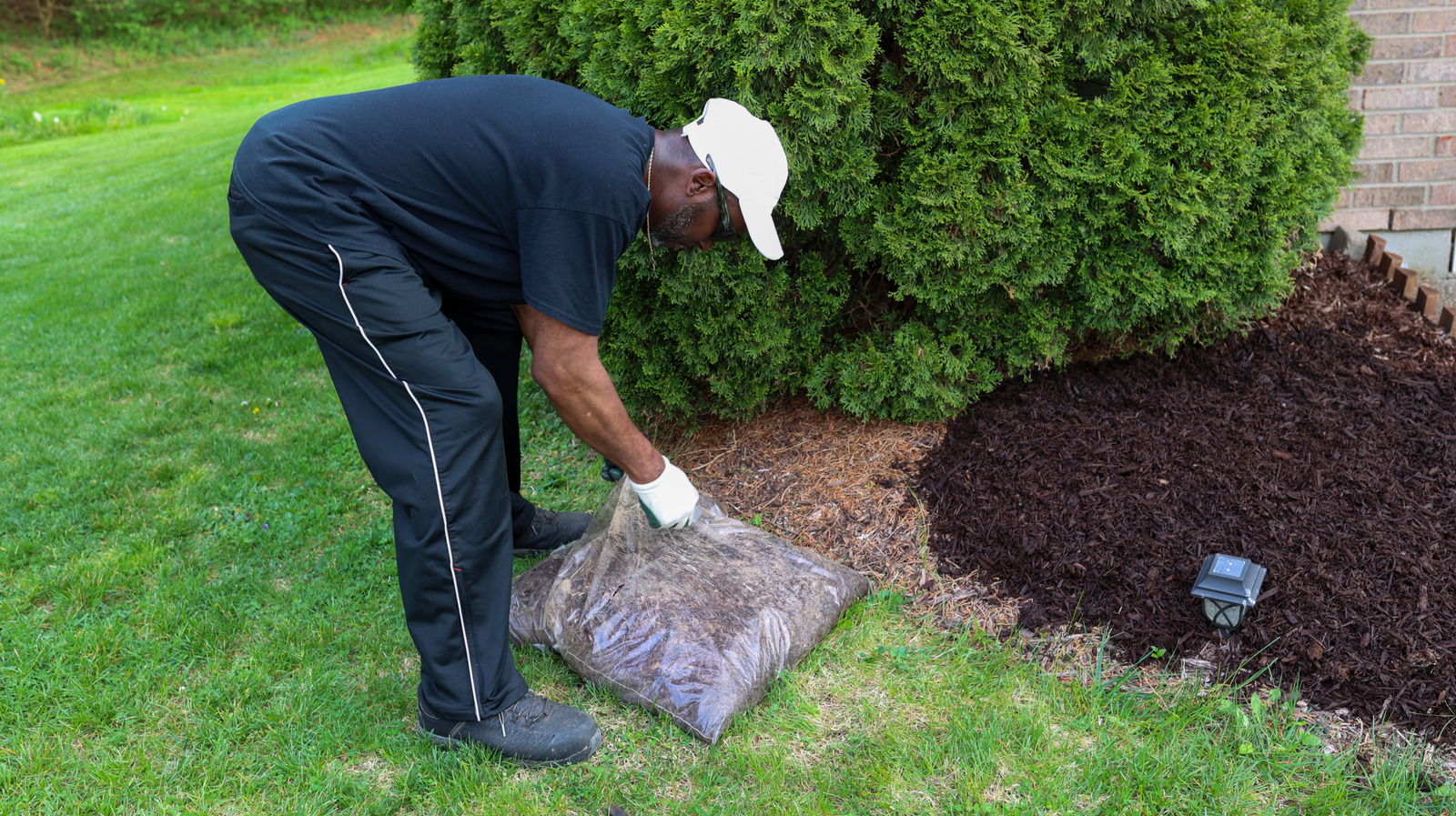 The Simple Method For Applying Mulch Without Damaging Your Plants