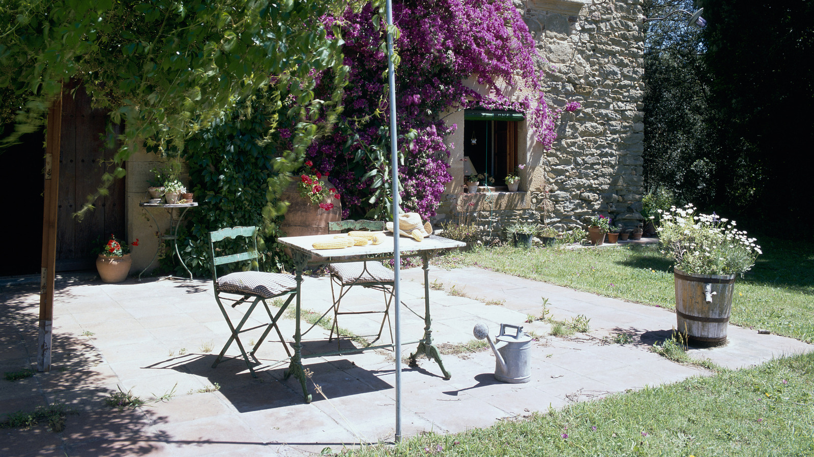 The Simple Planter Upgrade That'll Add Some Color To Your Boring Patio