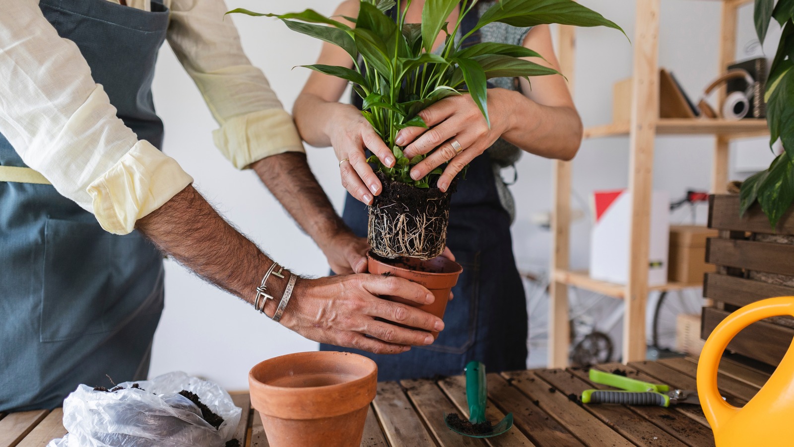 The Terracotta Pot DIY That'll Help Organize Your Garden Setup
