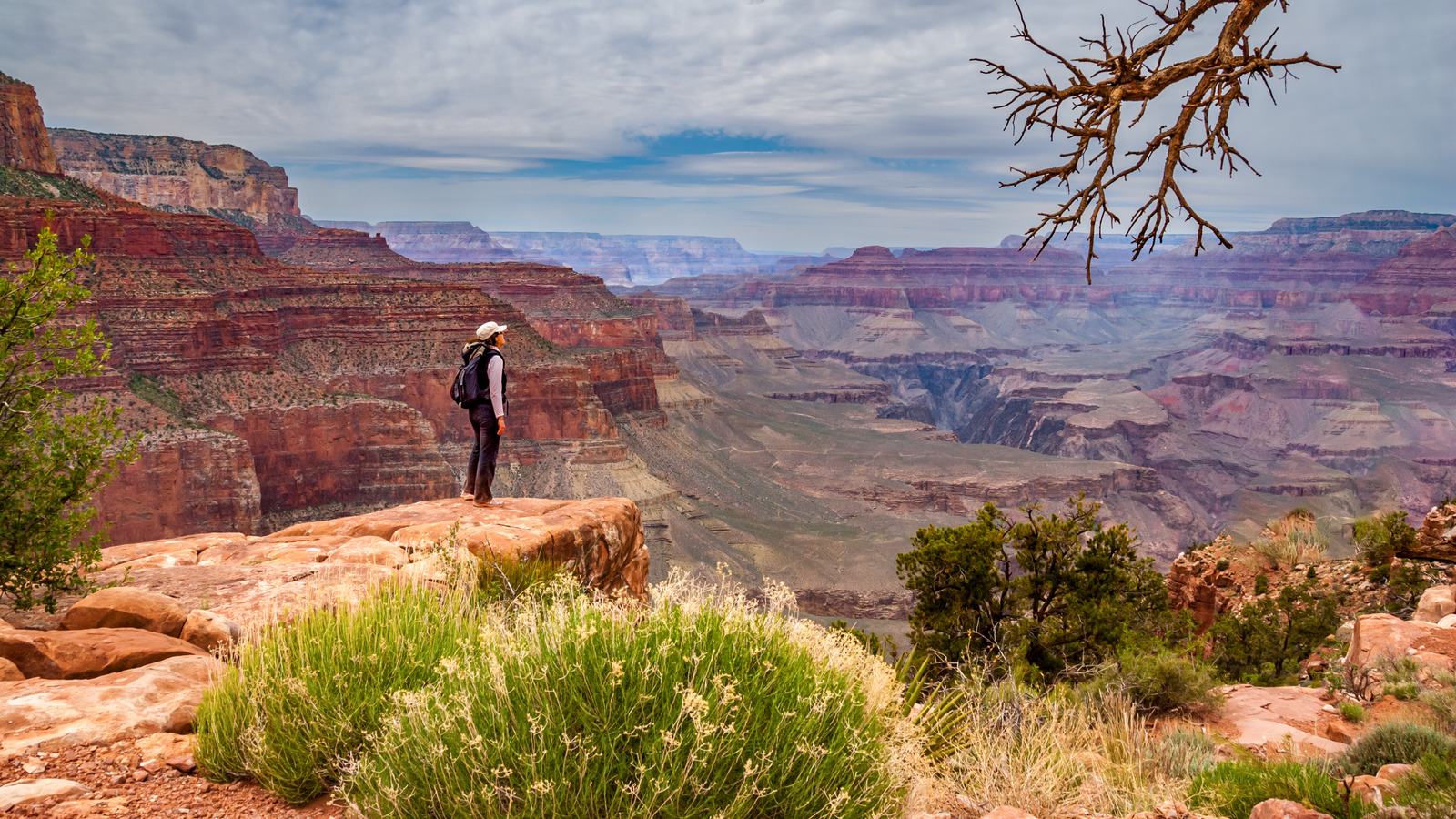 The Terrifying Scorpion To Look Out For When Exploring Arizona