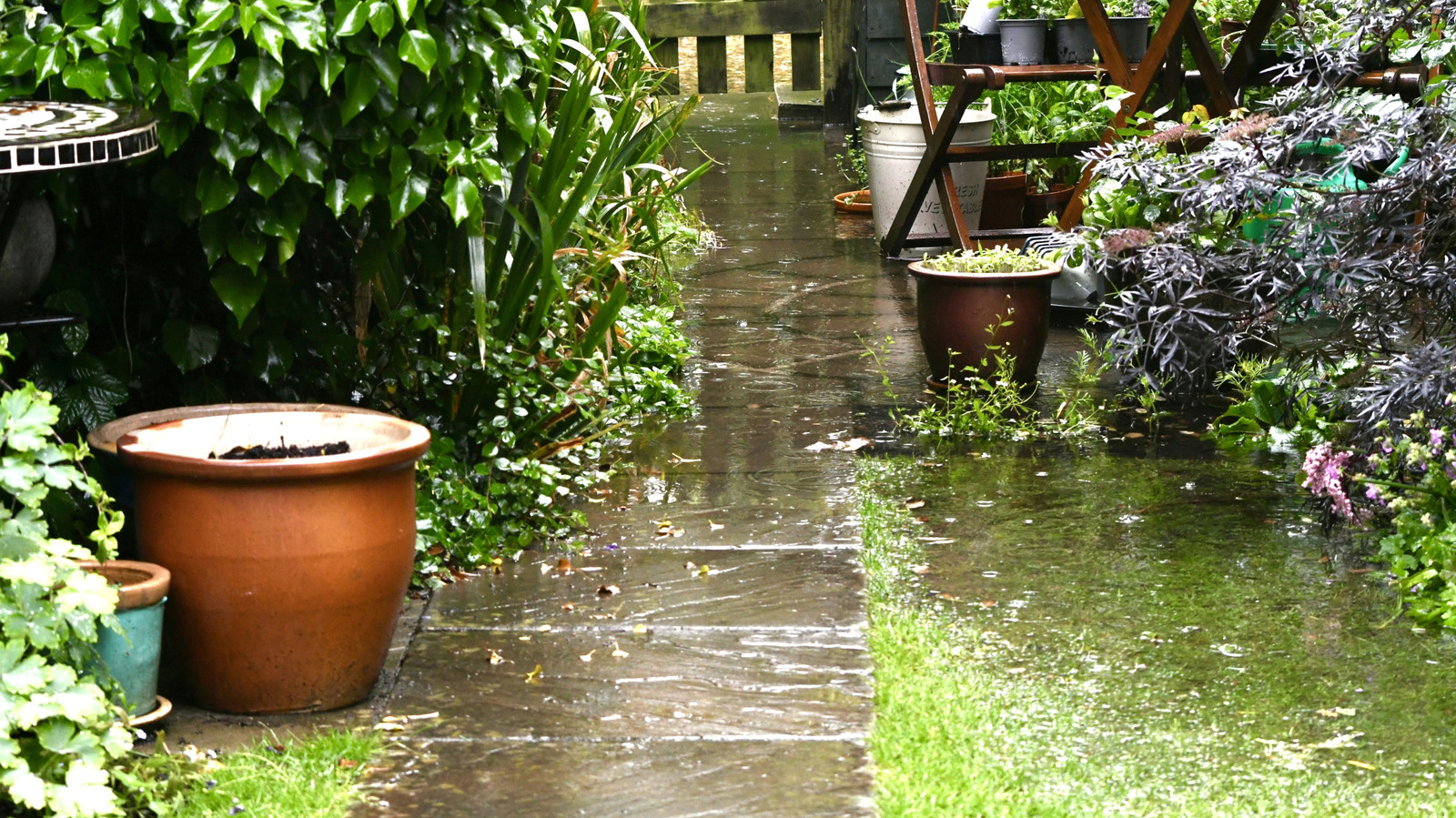 The Unexpected Addition That May Just Save Your Waterlogged Garden