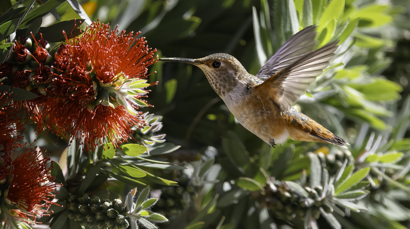 The Unexpected Travel Product That'll Make The Perfect Bird Feeder