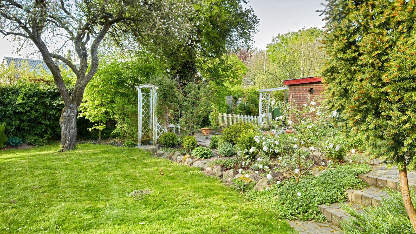 The Unusual Fruit-Loop Smelling Shade Tree That Pollinators Love