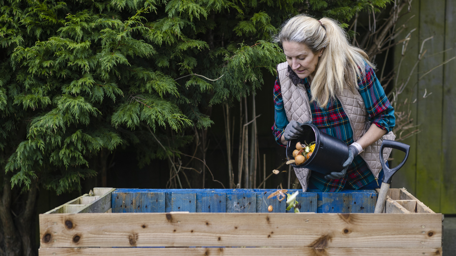 Things You Should Never Put In Your Compost Bin