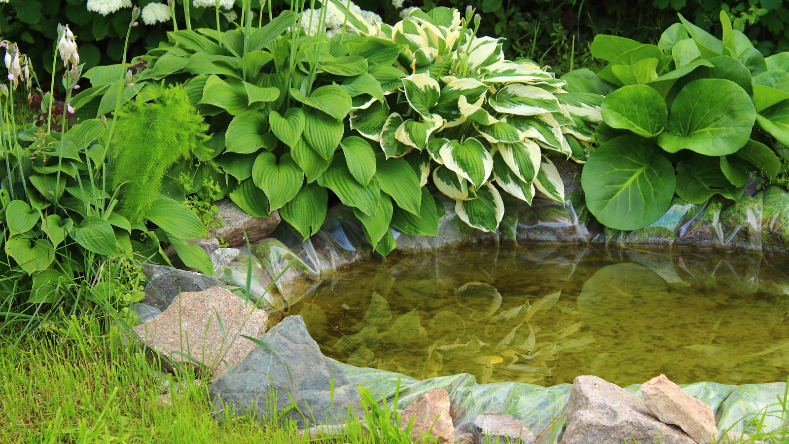 Transform A Dingy Tire Into A Stunning DIY Garden Pond