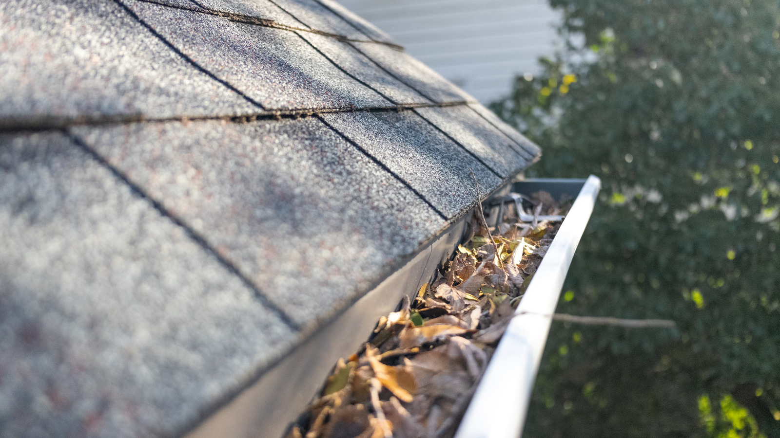 Treat Clogged Gutters With This Cheap PVC Pipe Hack