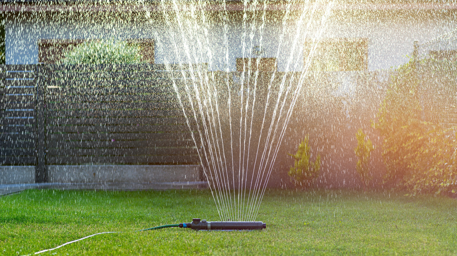 Reuse This Empty Kitchen Staple To Help You Successfully Water Your Lawn