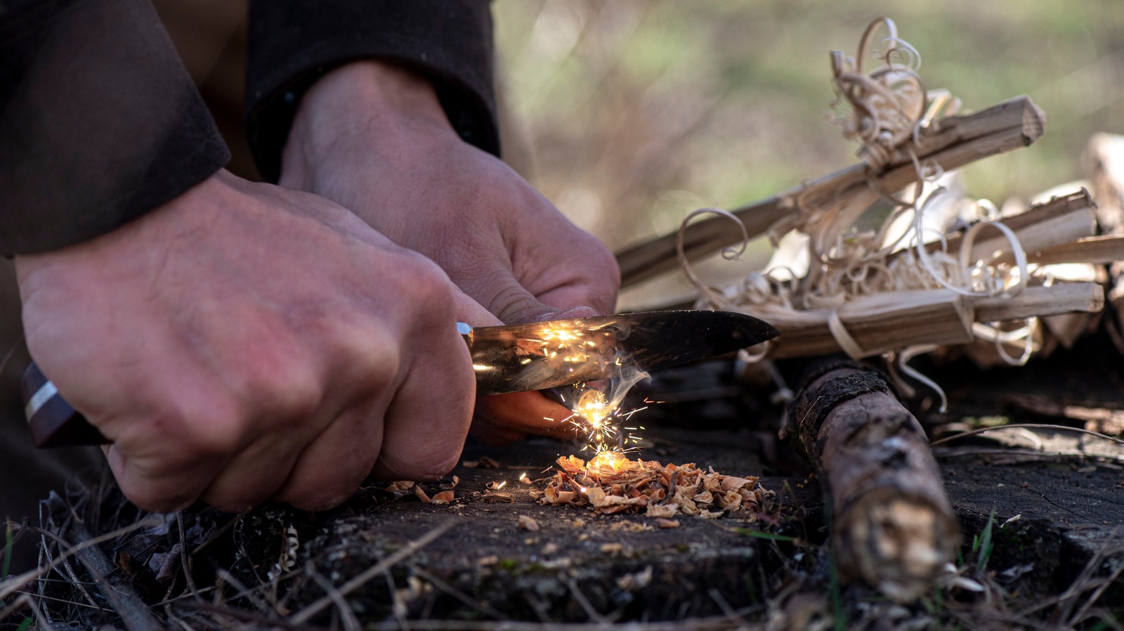 What Is Fatwood & How To Find It For Your Campfire