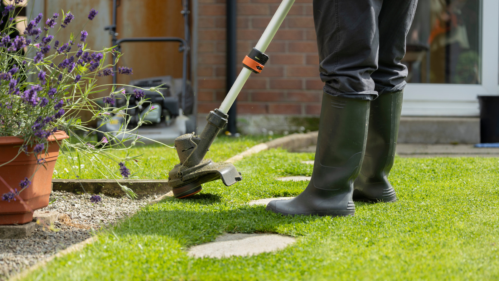 What To Consider Before Buying A Battery-Powered Weed Whacker