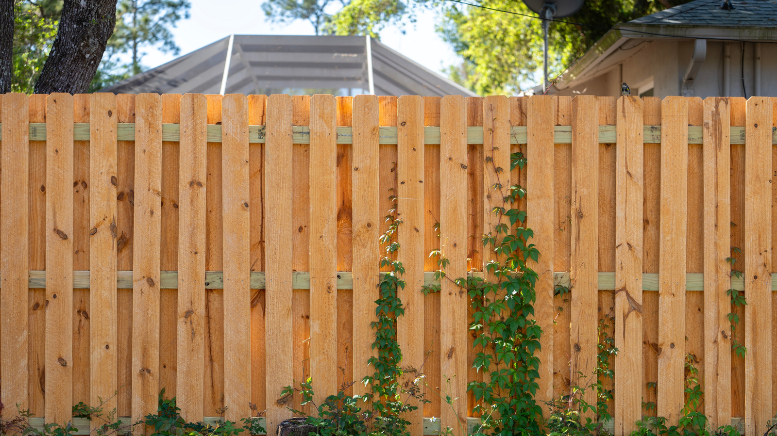 What To Do If Your Neighbor's Fence Is In Your Yard