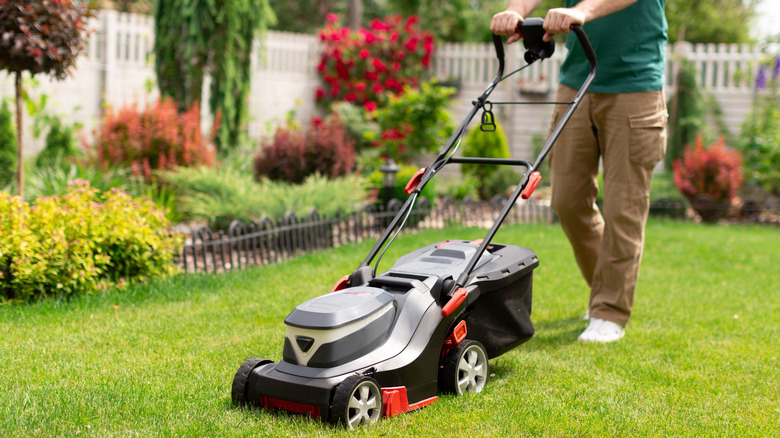 What To Do When Your Lawn Mower Starts Leaking Gas