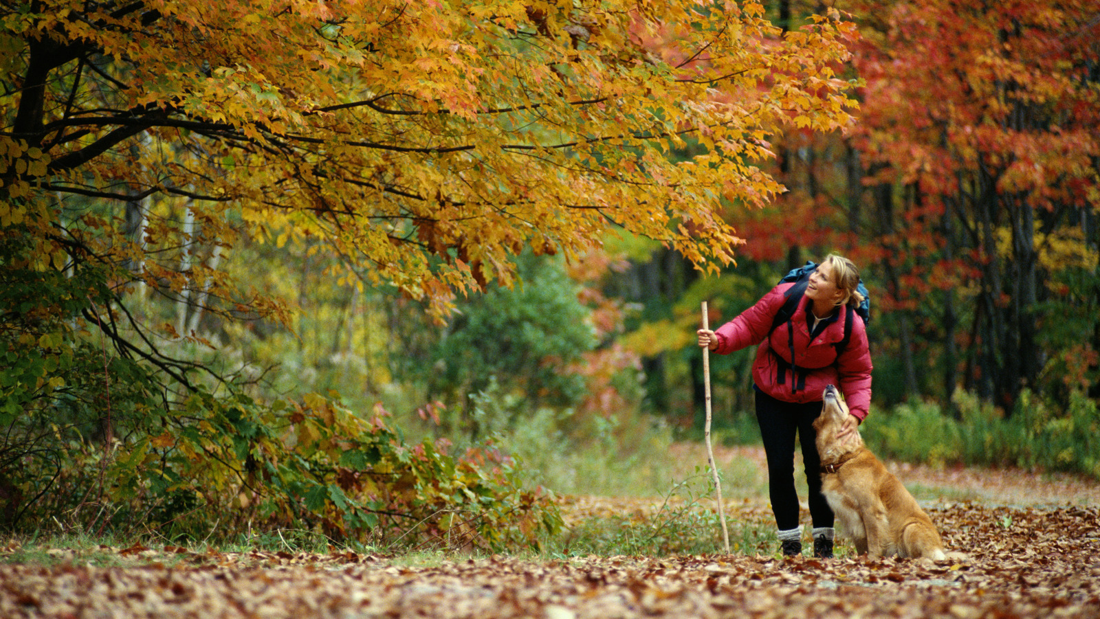 What To Know Before Heading Out On A Fun Fall Hike