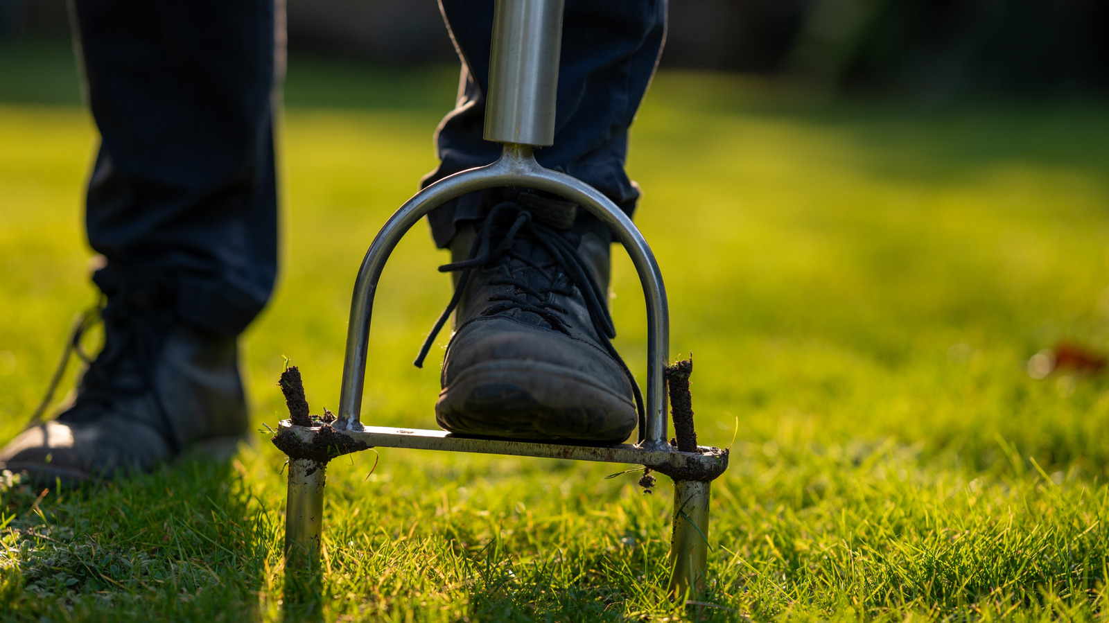 Why Aerating Your Lawn During Fall Is The Key To Thriving Cool-Season Grass