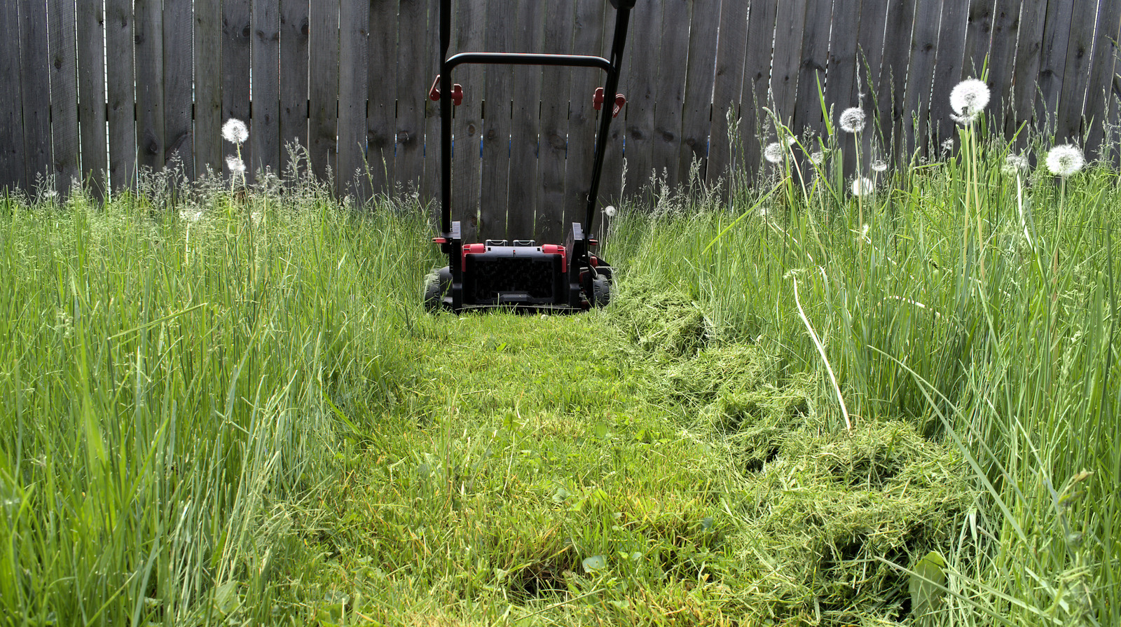 The Bungee Cord Hack You Should Avoid Using On Your Overgrown Lawn