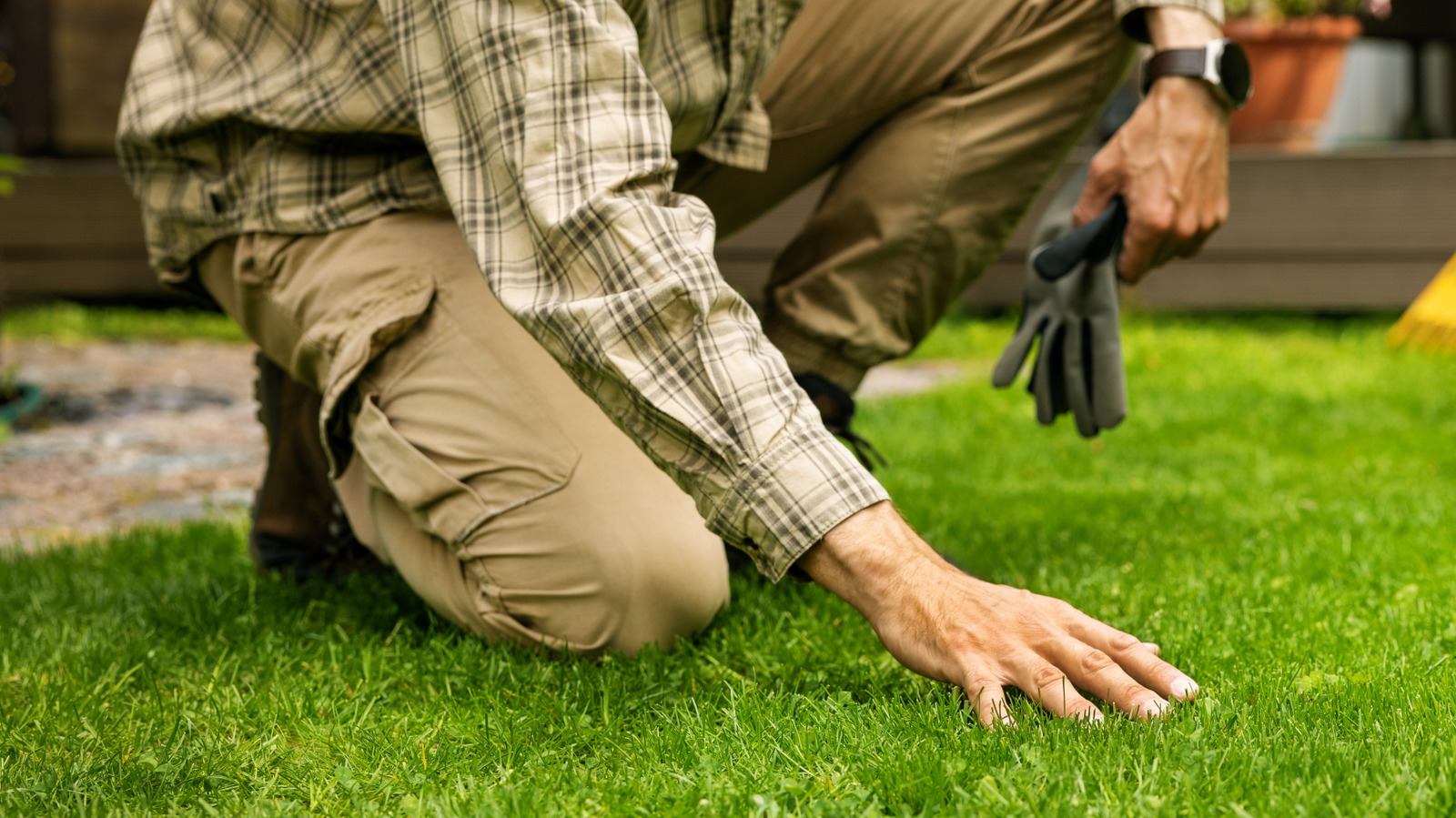 Why Your Lawn Smells Bad And How To Quickly Fix It